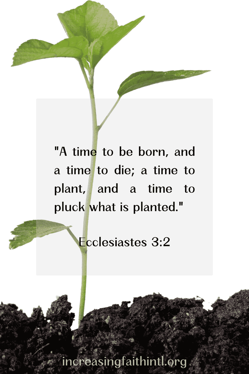 Biblical Meaning and Significance of the Number 3