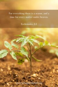 The Biblical Meaning and Significance of Number 29